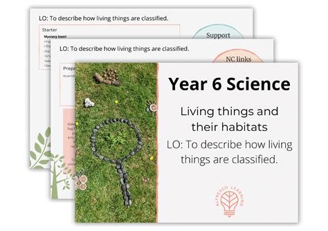 Taking Year 6 Living Things Outdoors