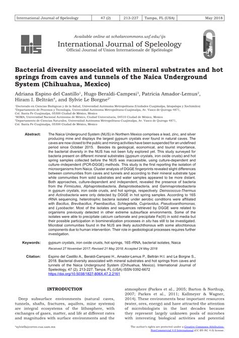 Bacterial Diversity Associated With Mineral Substrates And Hot Springs
