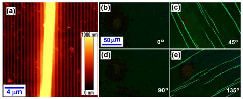 Directional Alignment Of Polyfluorene Copolymers At Patterned Solid