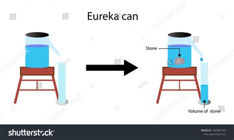 Diagram Of Density Experiment Quizlet