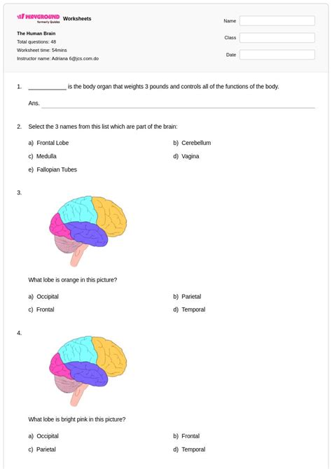 50 Brain Worksheets For Grade 4 On Wayground Free And Printable