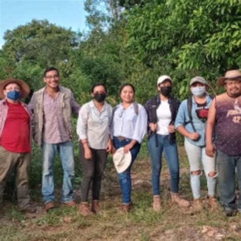 J Castillo Caamal Universidad Autónoma De Yucatán Mérida Uady