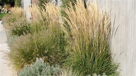 7 Foundation Planting Design Ideas To Upgrade Your Home