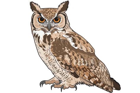 Mackinder Images Free Photos Png Stickers Wallpapers And Backgrounds Rawpixel