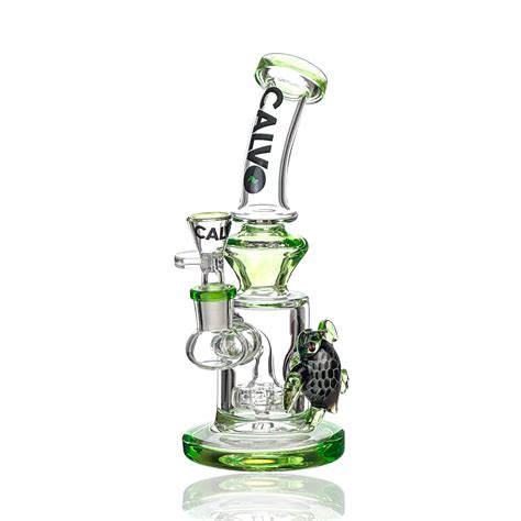 Turtle Rig Calvo Distribution