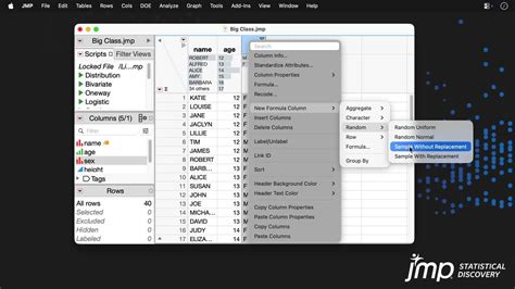 Randomization Testing Jmp User Community