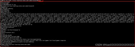 Linux系统中的环境变量 命令行参数，path，通过代码获取环境变量，本地变量获取本地环境变量命令 Csdn博客