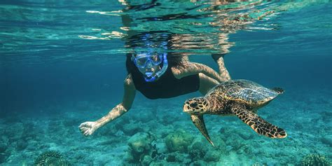 Snorkeling Safari Maldivas
