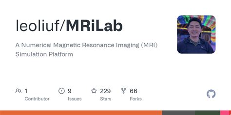 Github Leoliufmrilab A Numerical Magnetic Resonance Imaging Mri