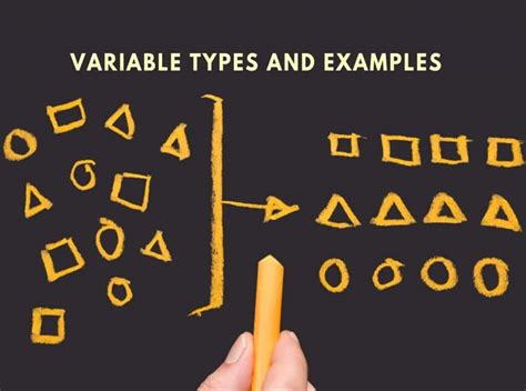 Types Of Variables In Statistics With Examples Picklai