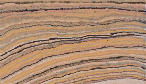 Lambert Joseph Abcd Art Brut