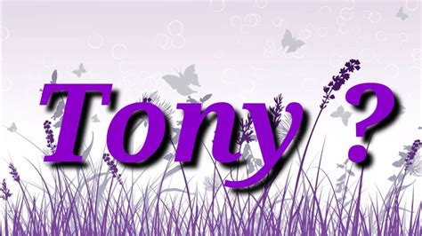 Tony Name Status Tony Name Meaning Tony Name Whatsapp Status