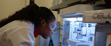 Bioengineering Bs New York Tech