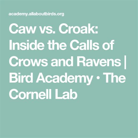 Caw Vs Croak Inside The Calls Of Crows And Ravens Bird Academy