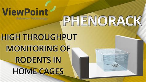 Phenorack Home Cage Monitoring Youtube