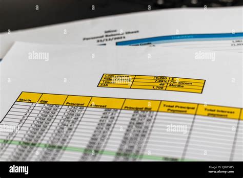 Close Up Shot Of A Print Outs Of Excel Table Of A Bank Loan