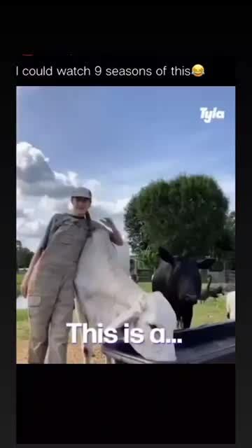 Emmanuel Needs Satisfaction Album On Imgur