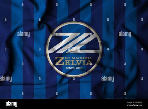 Pringsewu Lampung October 17 2024 Selective Focus Flag Logo Texture