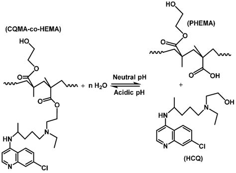 Scheme 3 Esterification Retroesterification Reactions Between Phema