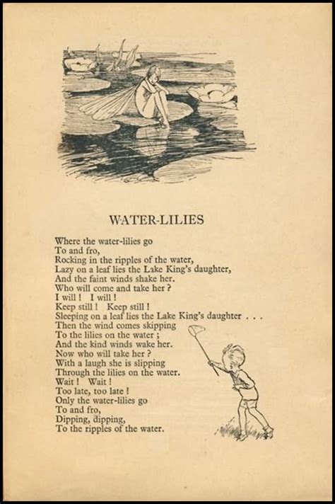 Water Lilies Old Book Pages Poetry Art Beautiful Words