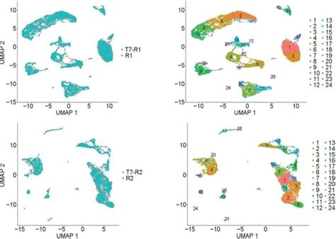 Dnbseq T7 Ultimate Single Cell Sequencing Platform