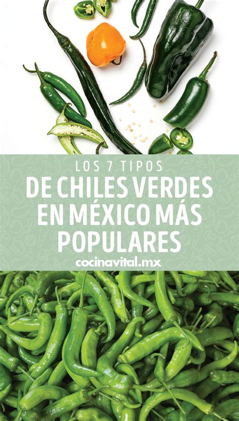 Los 7 Tipos De Chiles Verdes En México Más Populares Recetas De