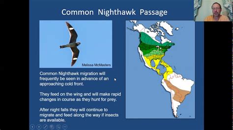 Common Nighthawk Range