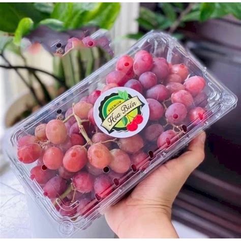 HỘp TrÁi CÂy Jadebox P1000a