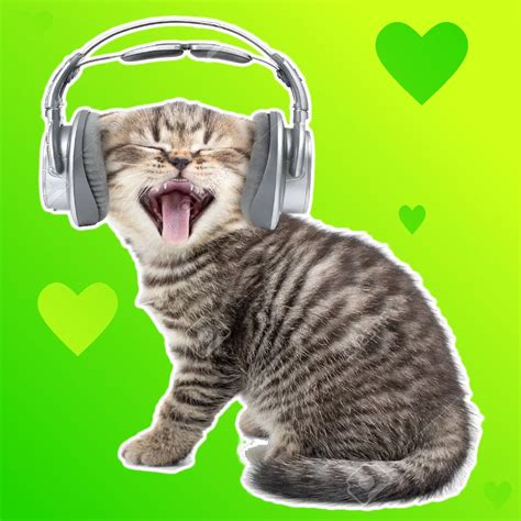 User Blogepicthegamer2014cat Chain Jtohs Joke Towers Wiki Fandom