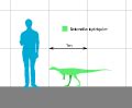 Categorysauropodomorpha Size Comparisons Wikimedia Commons
