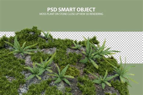 Premium Psd Moss Plants On Stone Closeup View 3d Rendering Of