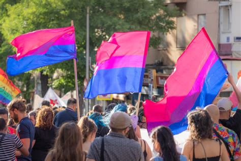 Bisexual Flag Meaning And History Japan Gay Guide