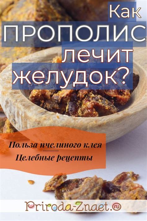 Лечение желудка прополисом эффективно на всех стадиях недуга. Простые и ...