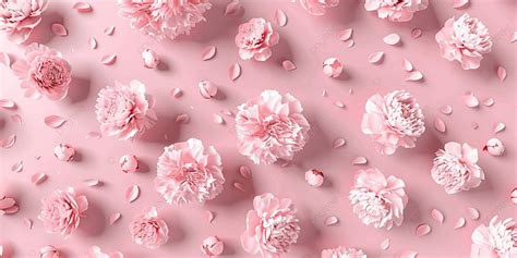 여성스러운 우아함을 강조하는 배경에 분홍색 꽃과 꽃잎의 미학적 배열 핑크 꽃 분홍색 꽃잎 분홍색 배경 배경 일러스트 및 사진 무료 다운로드 Pngtree