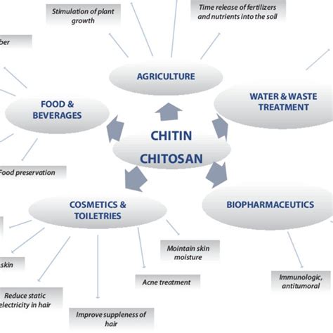 8 Industrial Uses Of Chitin Chitosan Download Scientific Diagram