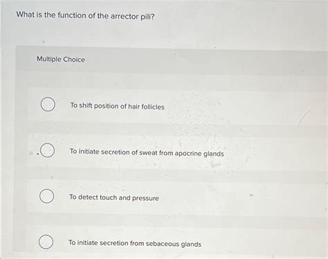 Solved What Is The Function Of The Arrector Pilimultiple