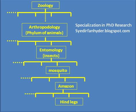 Learning And Life What Does It Mean To Have A Phd Myths Of Specialization And Departmental