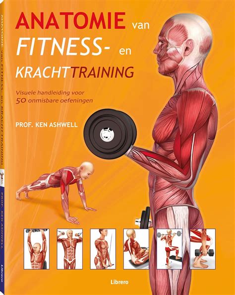 Anatomie Van Fitness En Krachttraining Visuele Handleiding Voor 50 Onmisbare Oefeningen