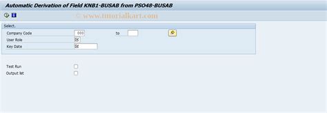 Setb Sap Tcode Direct Input For Busab