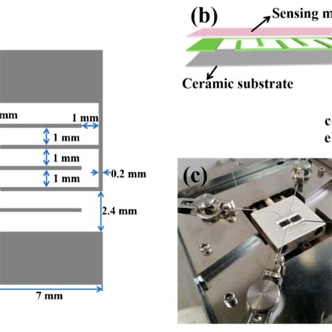 Schematic Structure Of The Blank Sensor A And The Fabricated Sensor Download Scientific