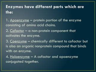 Enzymes And Oxidation Reduction Reactions Pptx