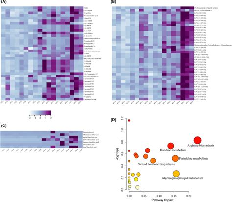 Metabolomics Analysis Of The Cardioprotective Effect Of Pycr1 Ko After