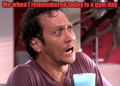 Rob Schneider Meme The Hot Chick Wikipedia