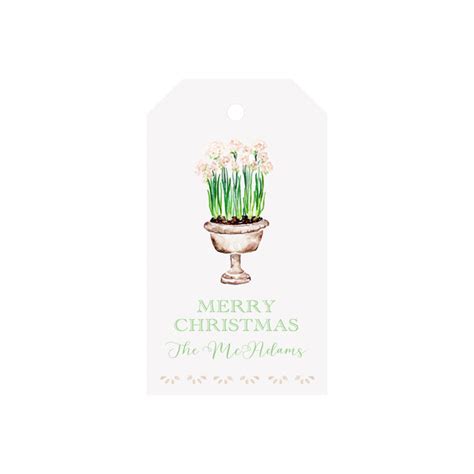 Paperwhite Planter Personalized Angled Drilled T Tags Brake Ink