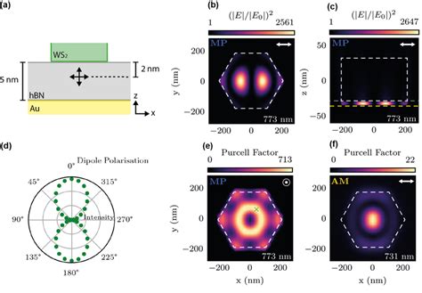 Simulated Electric Field And Purcell Factor Throughout An Hbn Layer