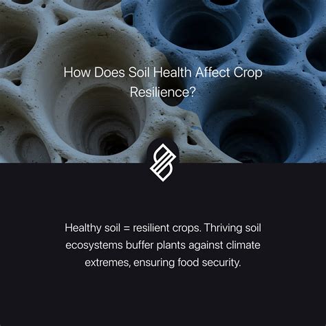 Climate Resilience Through Soil → Area → Sustainability