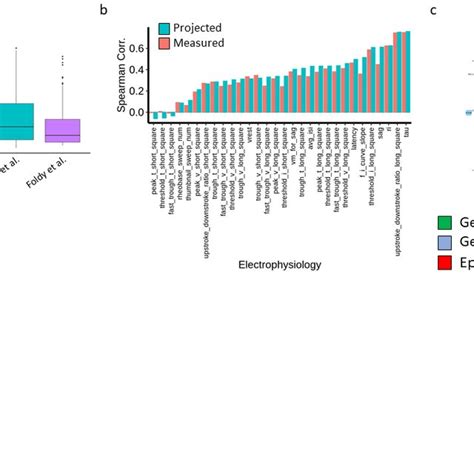 Projection Of Patch Seq Rna Links Molecular Measurements To