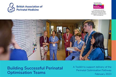 News Introducing The Latest Toolkit From Bapm Infant Journal