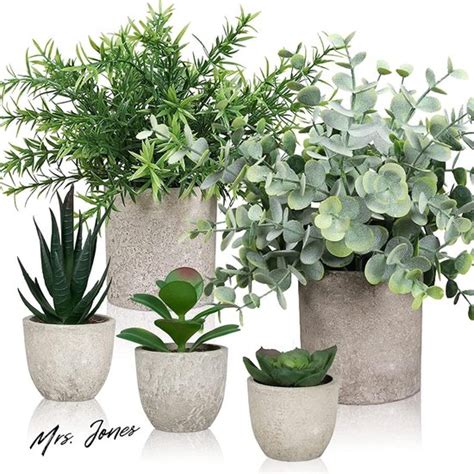 Mrs Jones Set Van 5 Kunstplanten Binnen Schattige Nepplanten