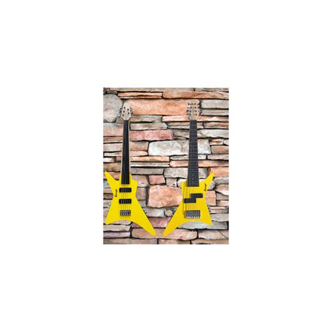 8 String Bass 5 String Fretless Bass Double Sided Busuyi Guitar